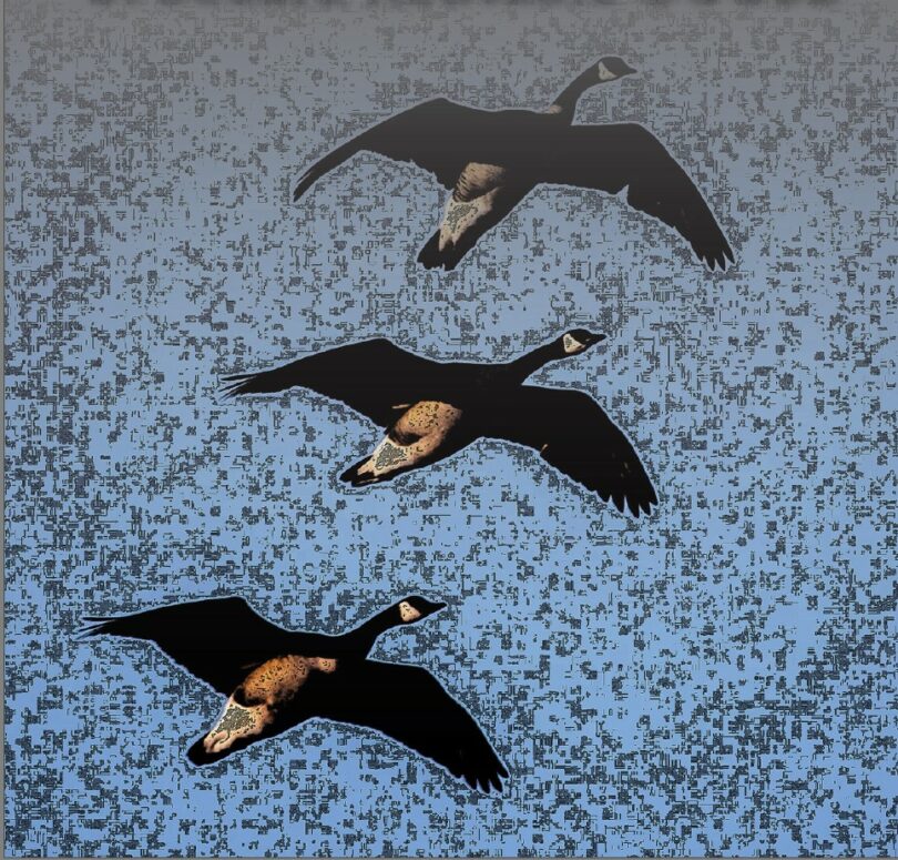 Overview and Applications of Secure Routable GOOSE and Sample Values ...