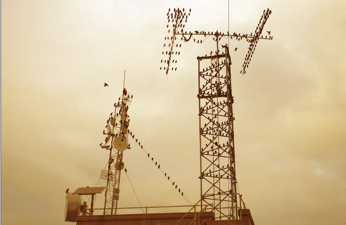 Evolution of intra and inter-substation communication | PAC World